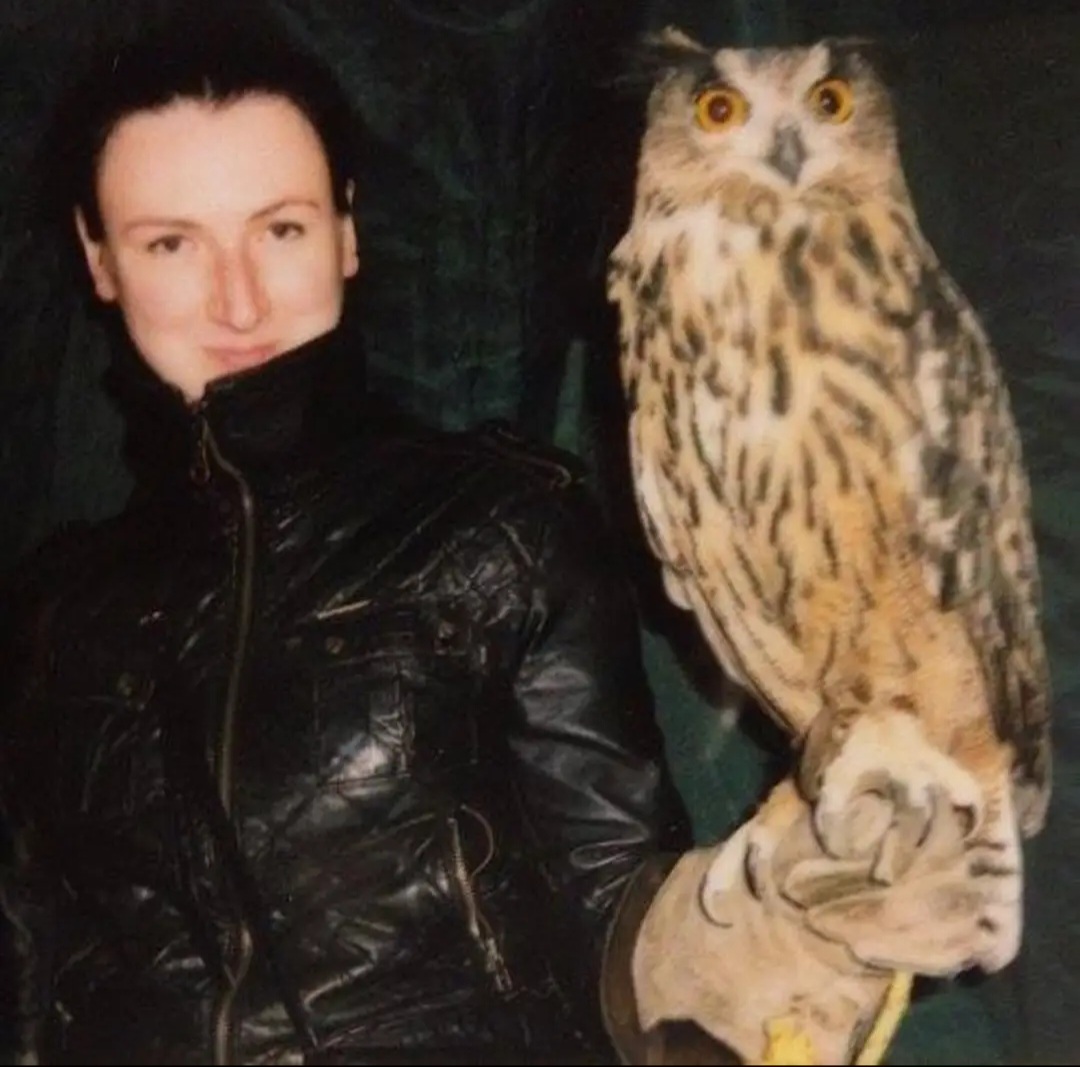 Owls 🦉 UFO 🛸 Aliens – moment art now